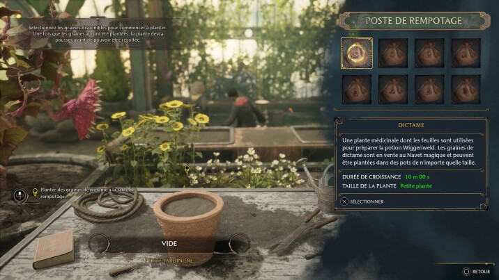 Hogwarts Legacy: Como completar as tarefas da professora de Herbologia ...