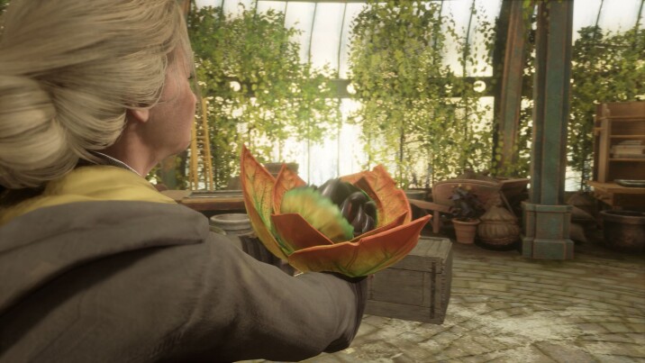 Hogwarts Legacy: Como completar as tarefas da professora de Herbologia ...