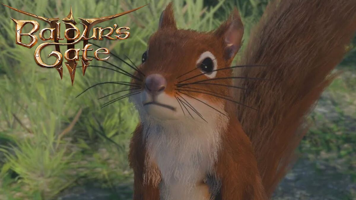 Baldur's Gate 3: Fãs estão chocados com o destino desse animal fofo no ...