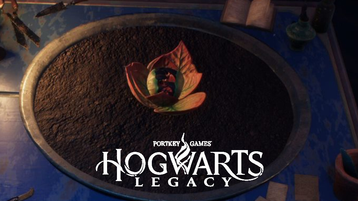 Repolho Glutão Chinês Hogwarts Legacy: Onde encontrar a poderosa planta ...