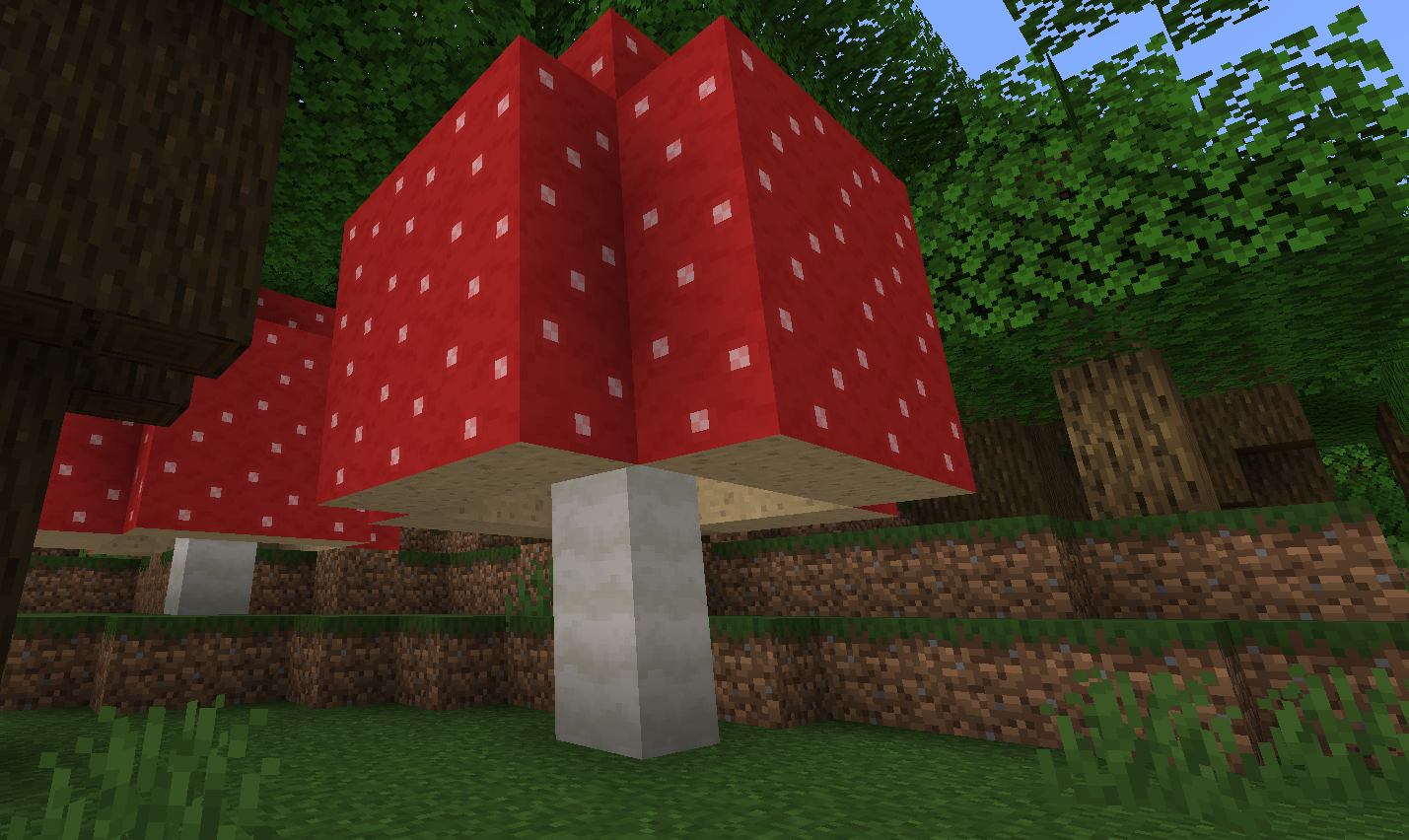 Minecraft: Guia de agricultura, trigo, fungos do Nether, cana de açúcar ...