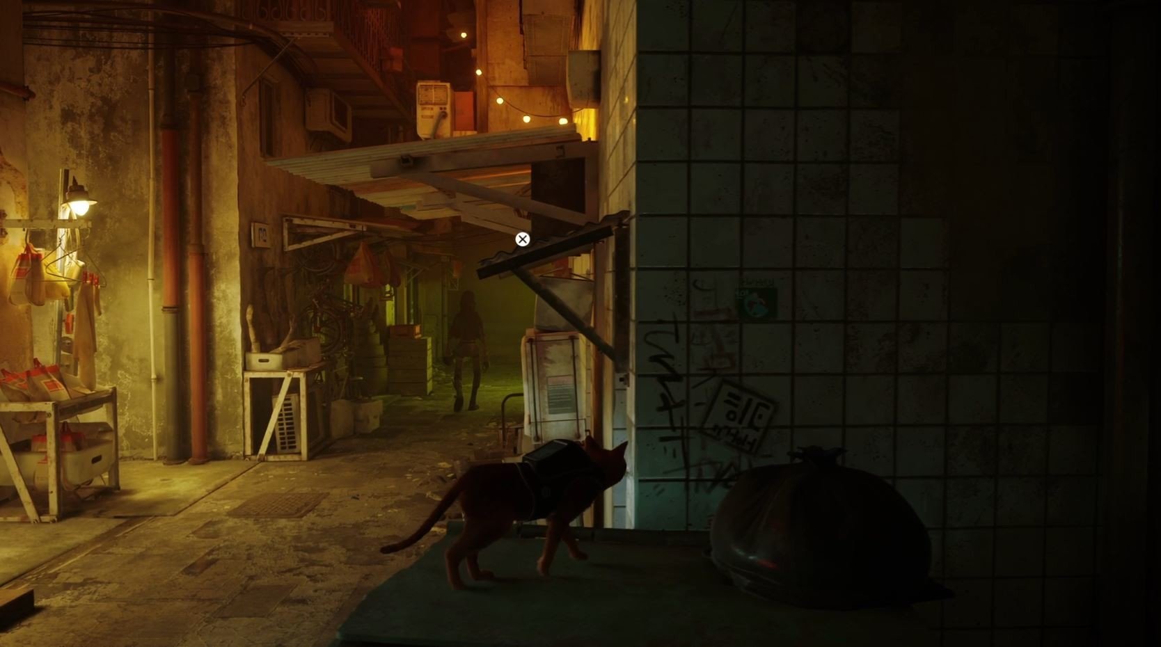 Onde encontrar Momo em Stray? Veja o guia para iniciar a missão do robô ...