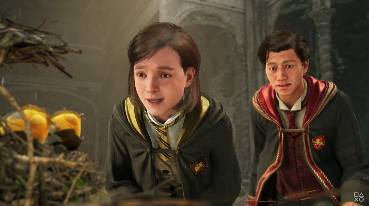 Hogwarts Legacy: Tudo sobre Lufa-Lufa, uma das casas que você pode ...