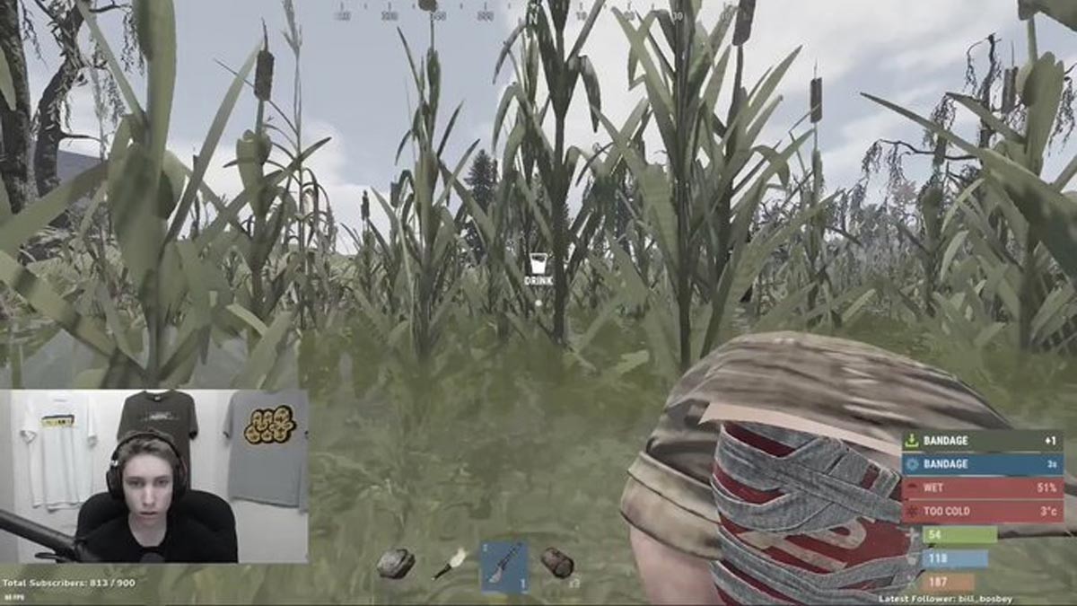 Streamer de Rust desmaia de raiva após perder em live - Millenium